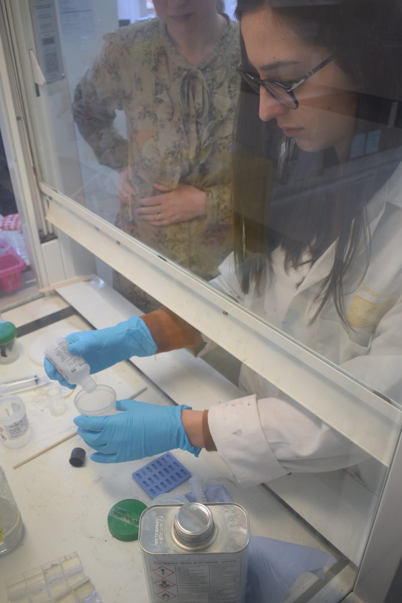 Second year – Wood Conservation with Dana Melchar & Gerry Alabone ...