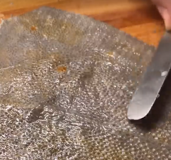 Books & Paper students make fish skin leather and parchment | City ...